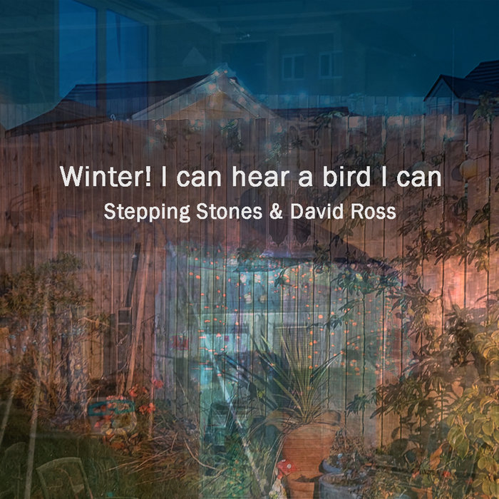 Winter! I can hear a bird I can | Stepping Stones & David Ross ...