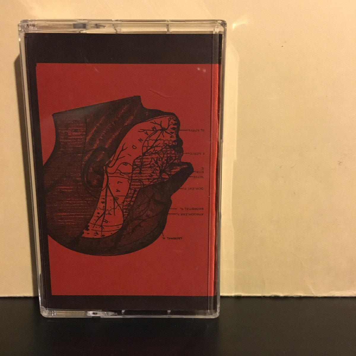 home recordings | alexander adams