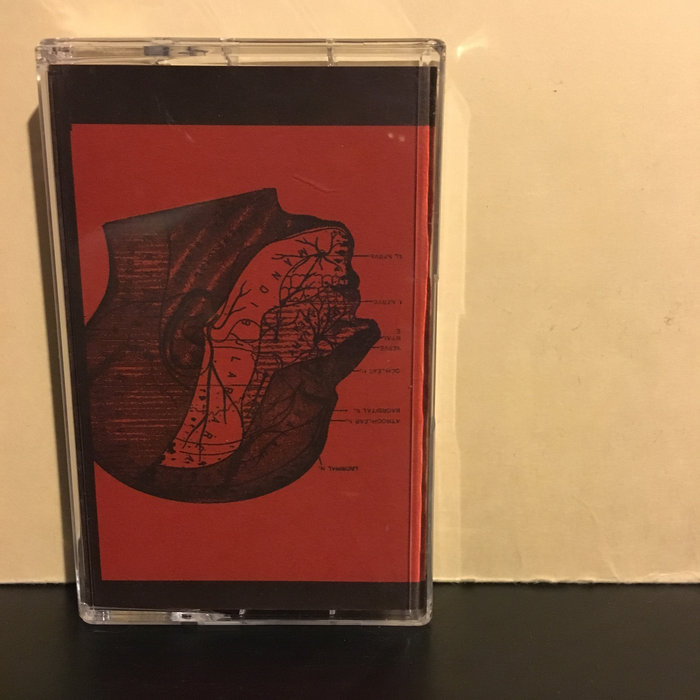 home recordings | alexander adams