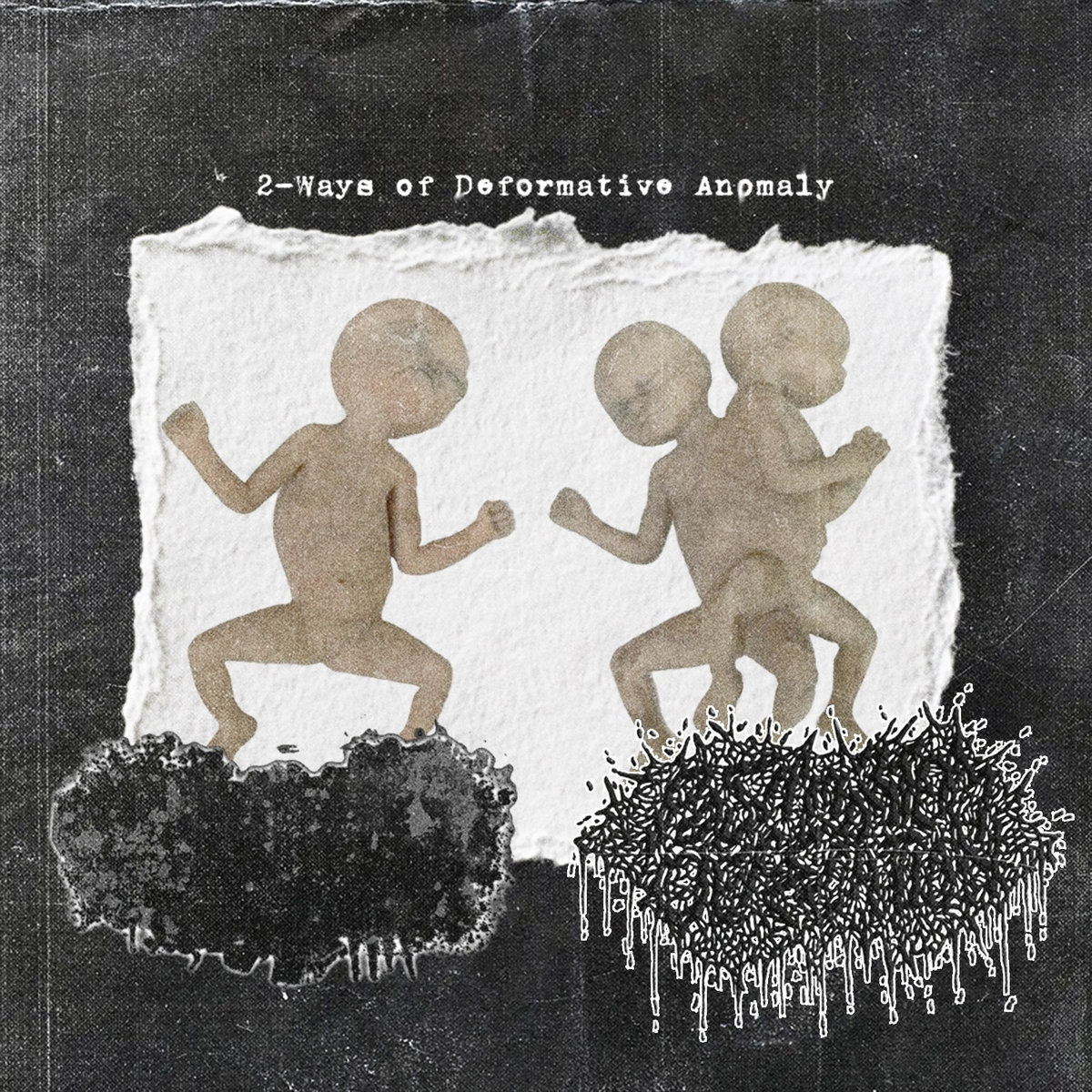 2-ways of Deformative Anomaly | Blenncardichromodacryexgenitohaemgene ...