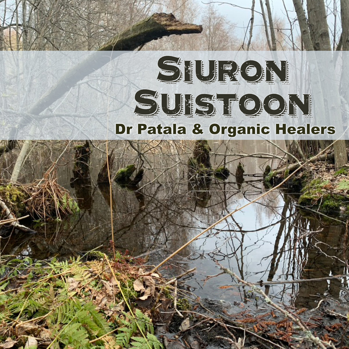 Siuron Suistoon | Dr Patala & Organic Healers | Dr Patala