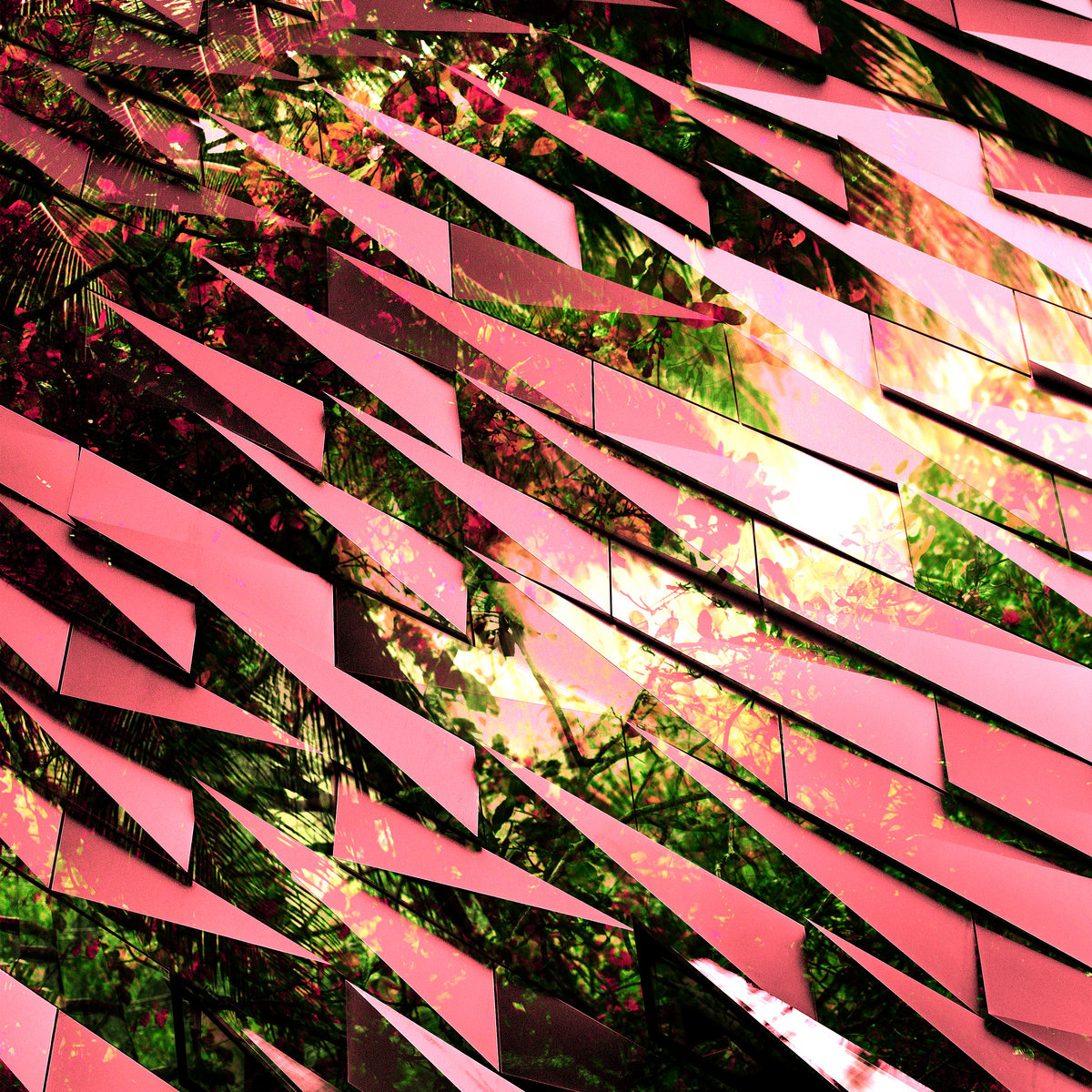 Tetrachromat | Tetrachromat