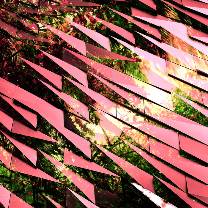 Tetrachromat | Tetrachromat