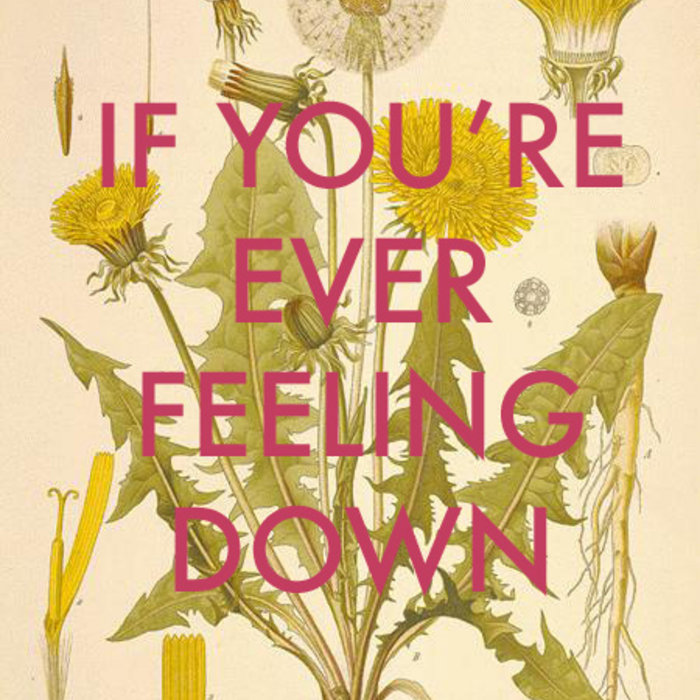 if you're ever feeling down | blonding dandelions