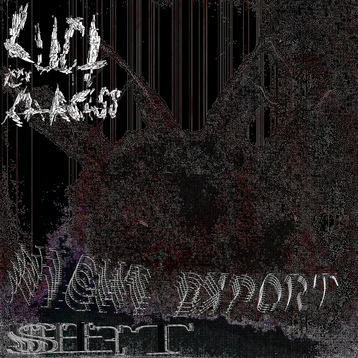 LC @ NIGHT EXPORT SEQ 1 | Luci.T