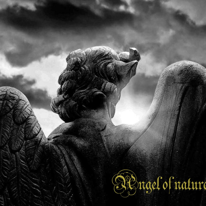 Angel of nature | Angel of nature