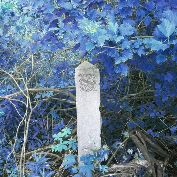 Azure Drift | Seismograph