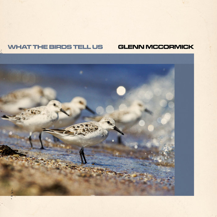 What the Birds Tell Us | Glenn McCormick