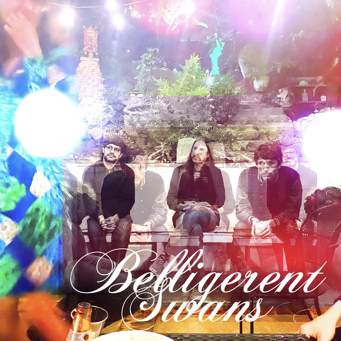 Belligerent Swans | Belligerent Swans