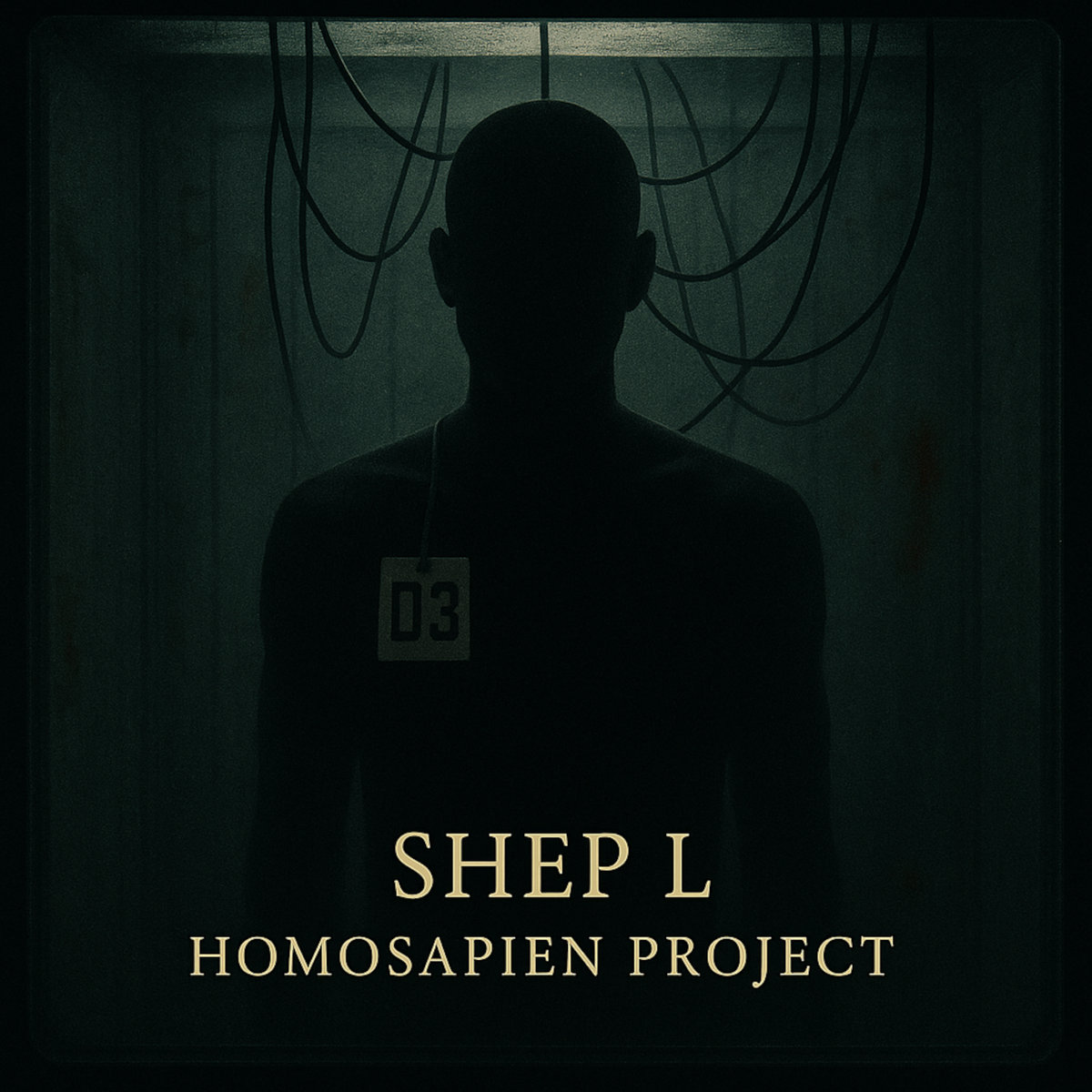 Homosapien project | Shep L