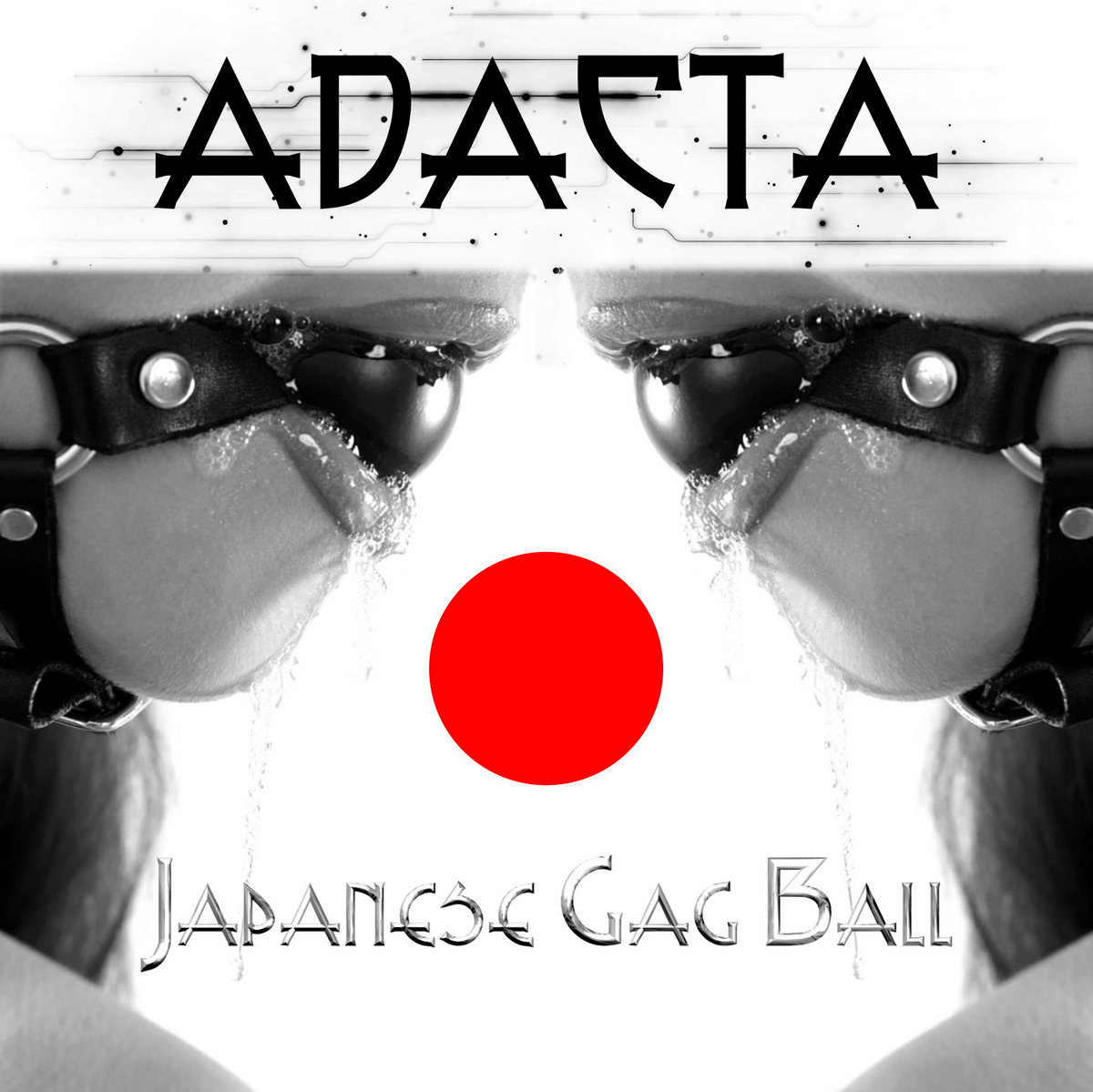 Japanese Gag Ball | ADACTA