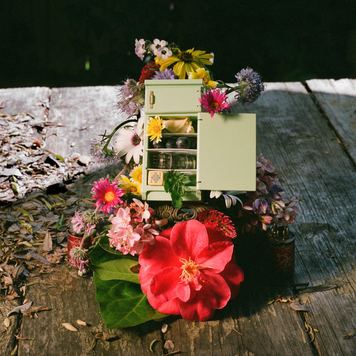 The Fridge 2 | Ryan Pollie