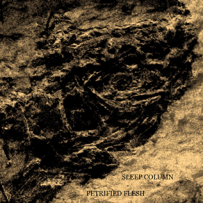 Petrified Flesh | Sleep Column | Nihil Worship