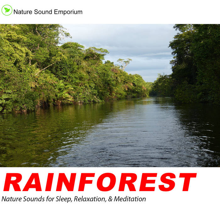 Rainforest Sounds - Nature Sounds | Nature Sound Emporium