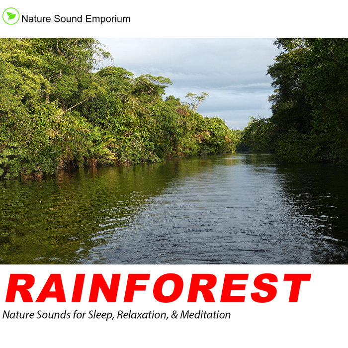 Rainforest Sounds - Nature Sounds | Nature Sound Emporium