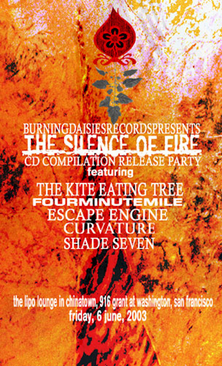 Burning Daisies Compilation | Curvature