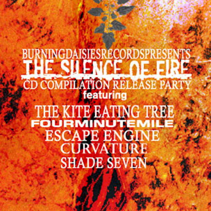 Burning Daisies Compilation | Curvature