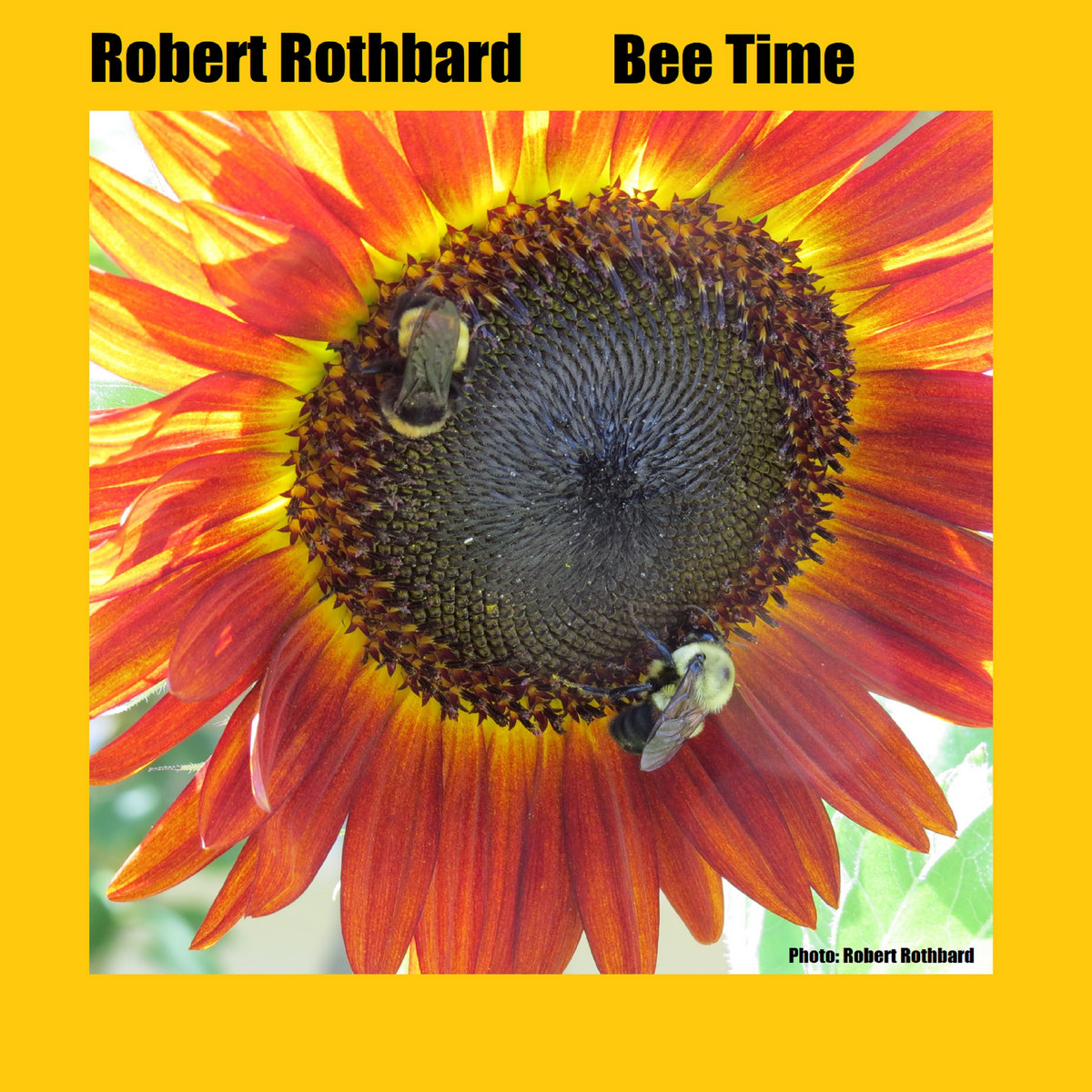 Bee Time | Robert Rothbard