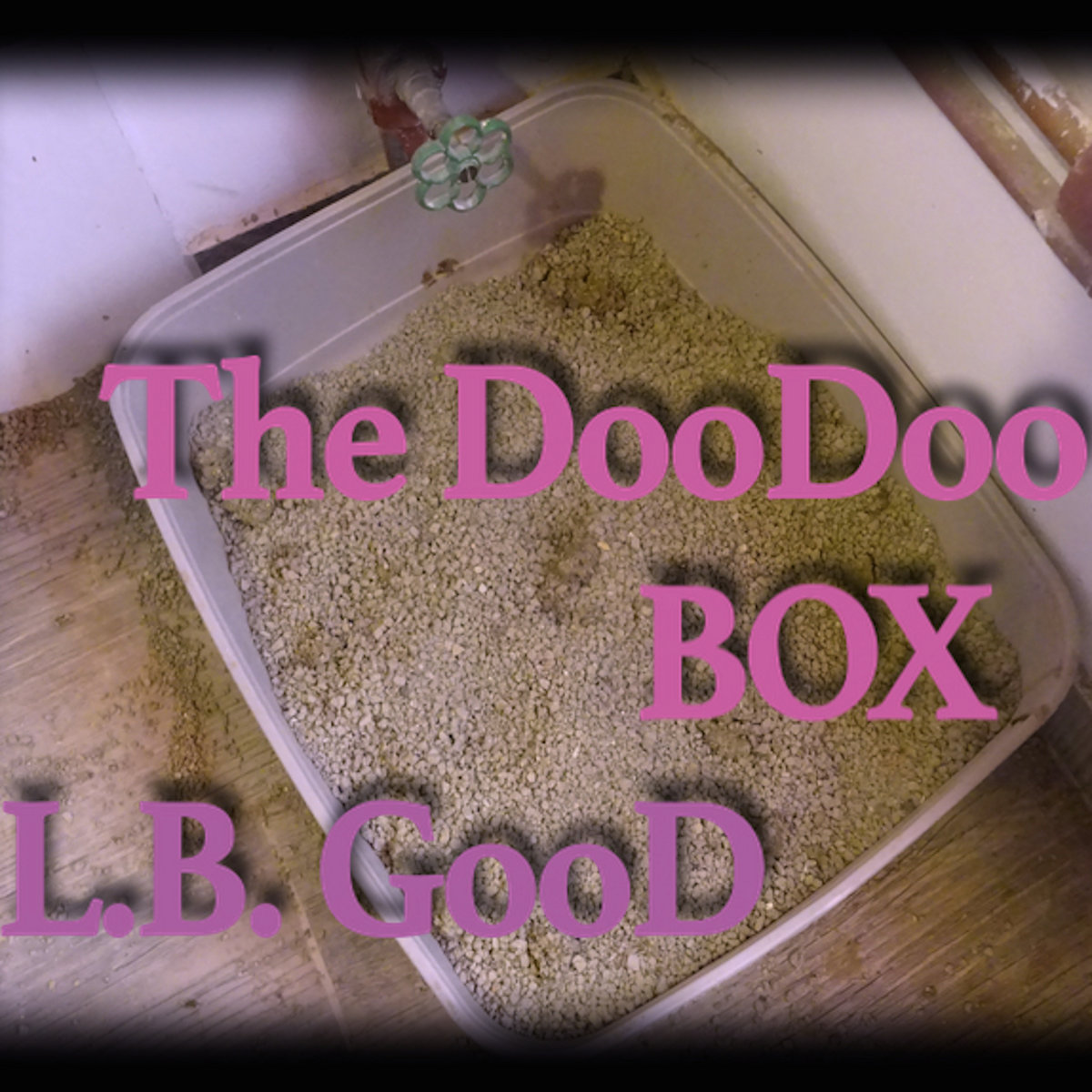 The DooDoo Box | L.B. GooD | eLBee BaD