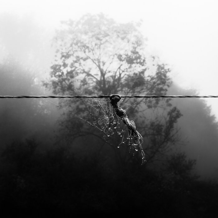 "Caught on Tape" EP 2024 | Adam Kroll Soundtracks