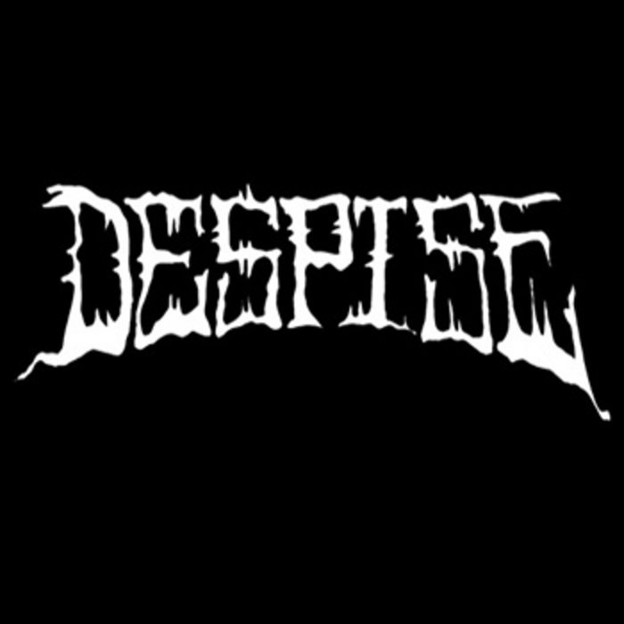 Despise DESPISE despise-despise