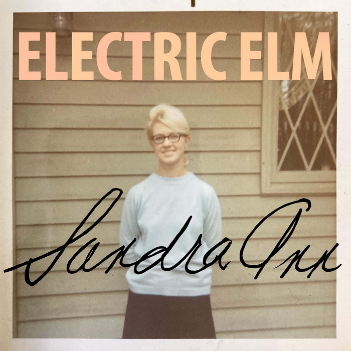 Sandra Ann | Electric Elm | American Elm