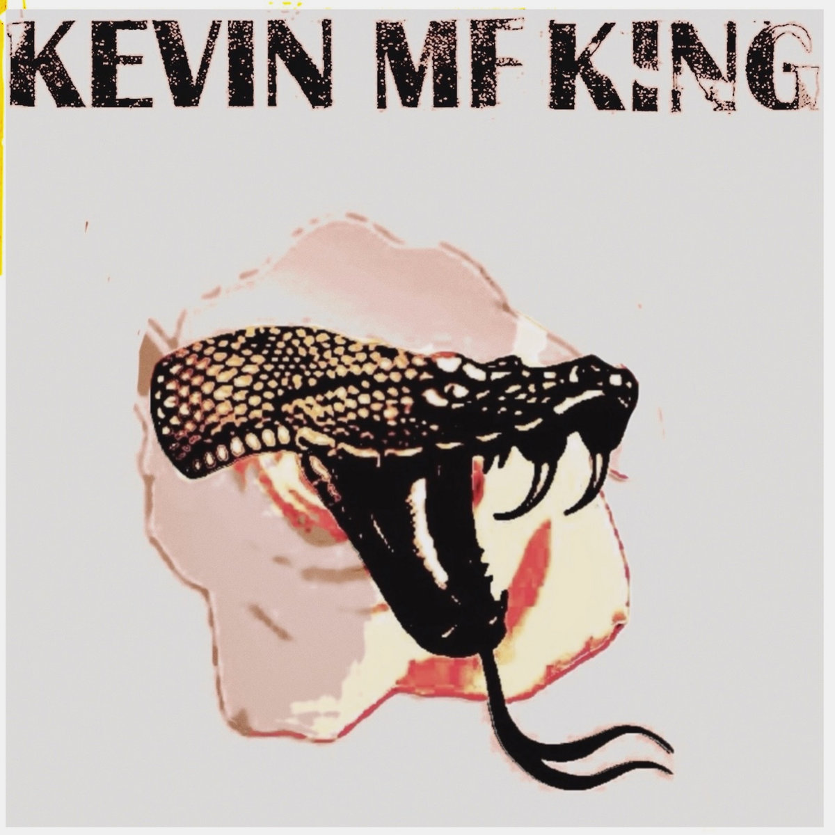 C O B R A S O N G | KEVIN MF KING