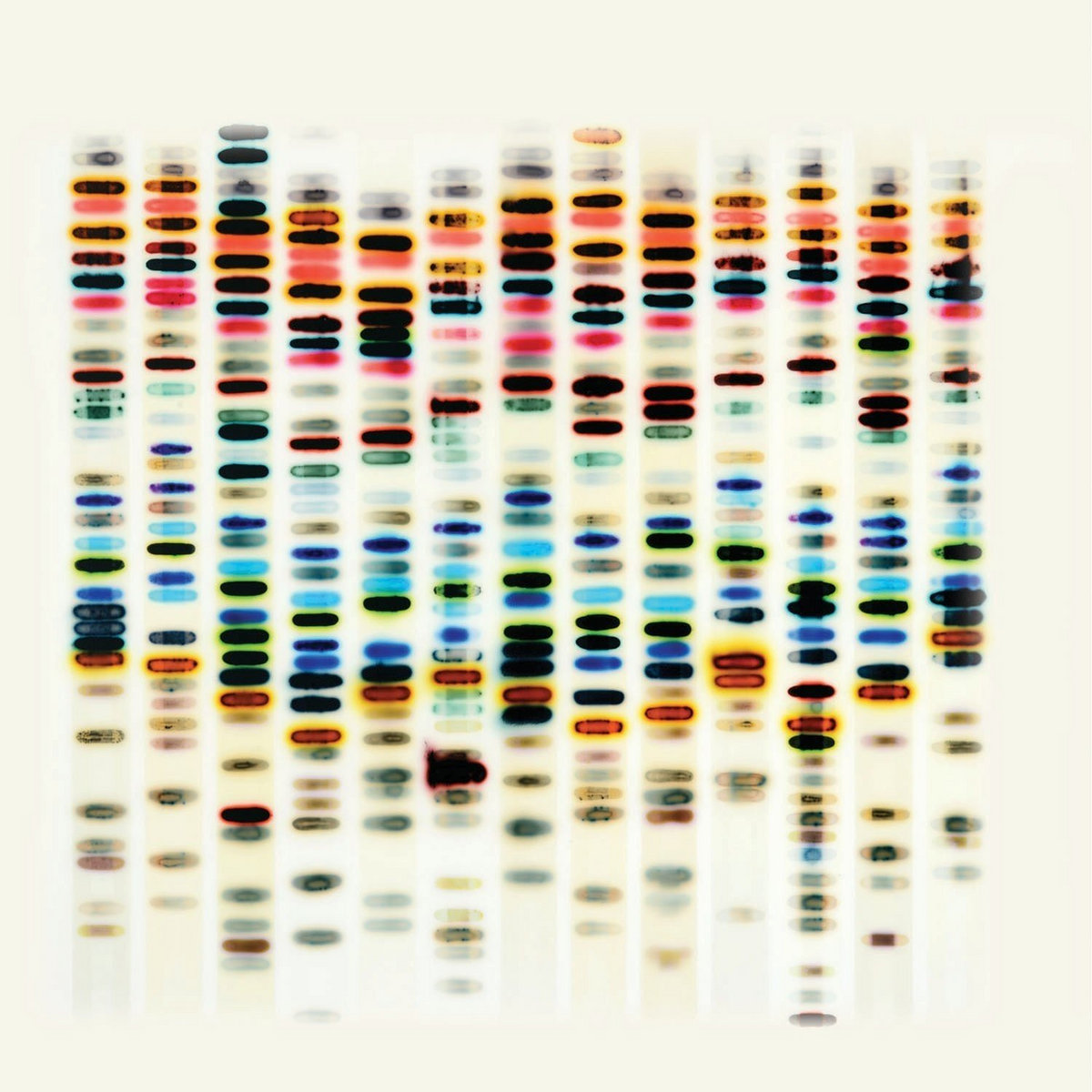 Magnetic Amphibian Hydrated Gills | ST 37 | Cleopatra Records