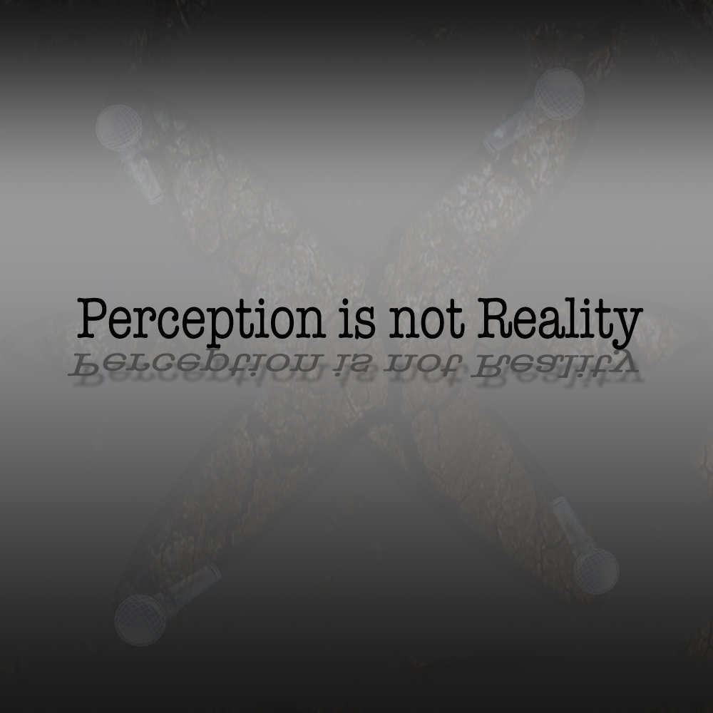 Perception Is Not Reality