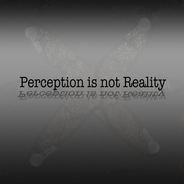 Perception is not Reality | Reality