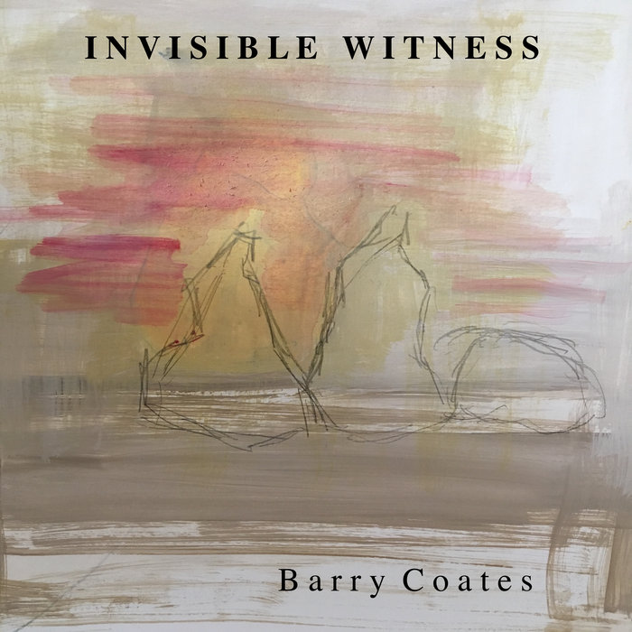 Invisible Witness | Barry Coates