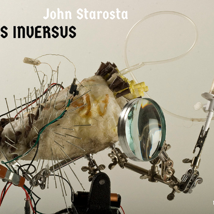 Situs Inversus I & II | John Starosta