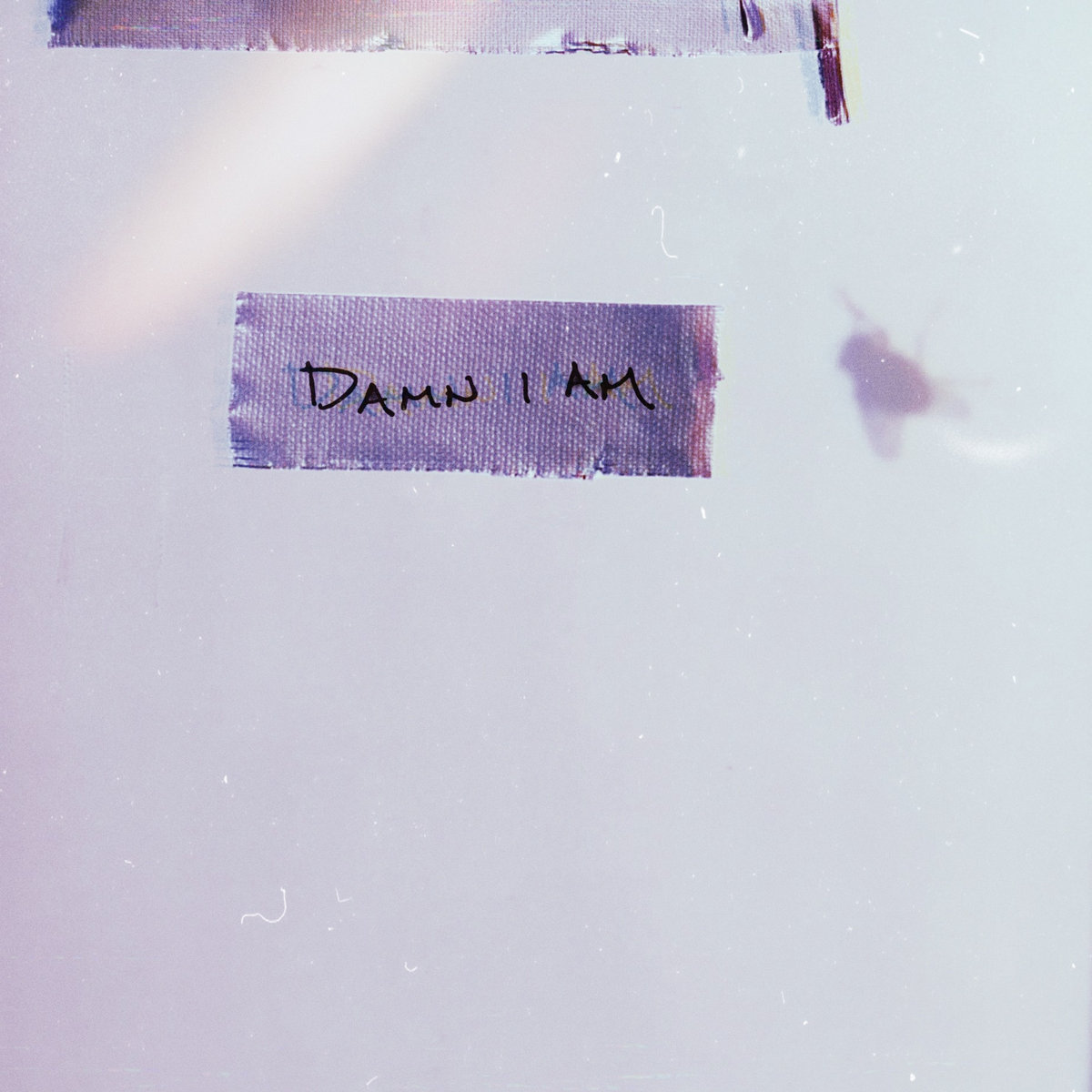 Damn I Am | Nate Barcalow