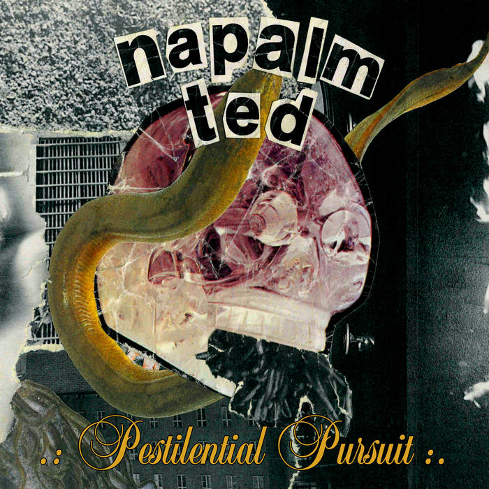 Flesh Prison | Napalm Ted