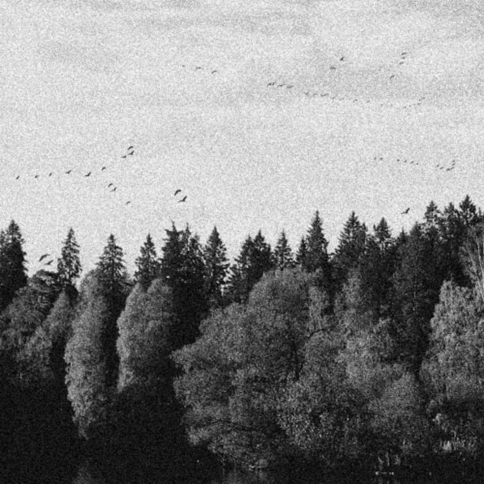 A Collapse Of Faith | October Falls