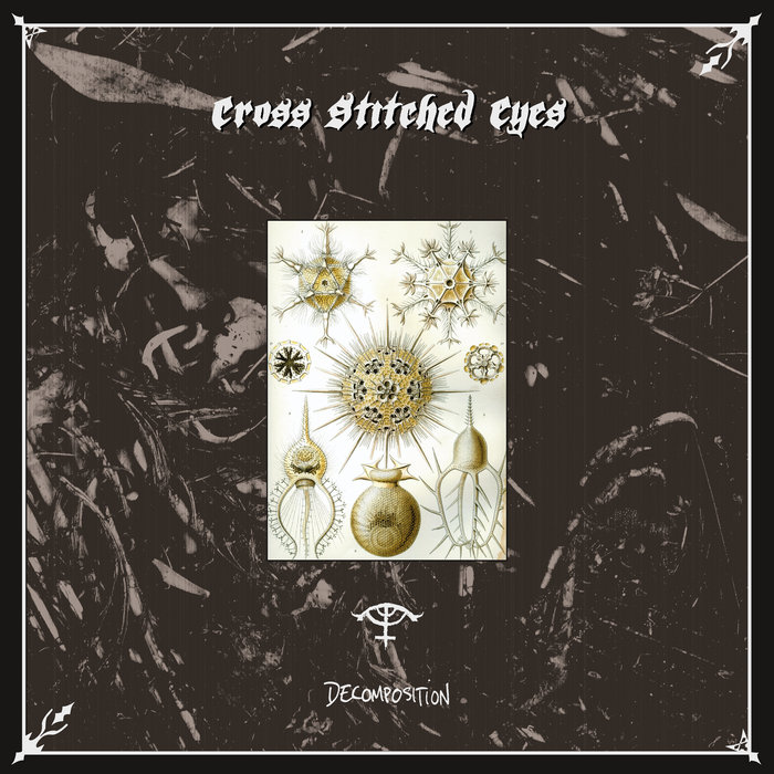 Decomposition | Cross Stiched Eyes