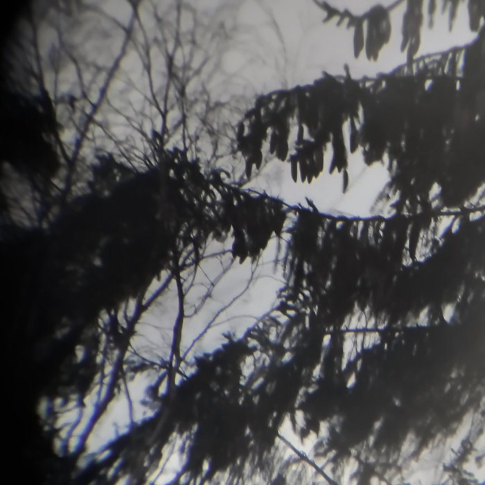 lost in the eternal forest (2021) | sopora