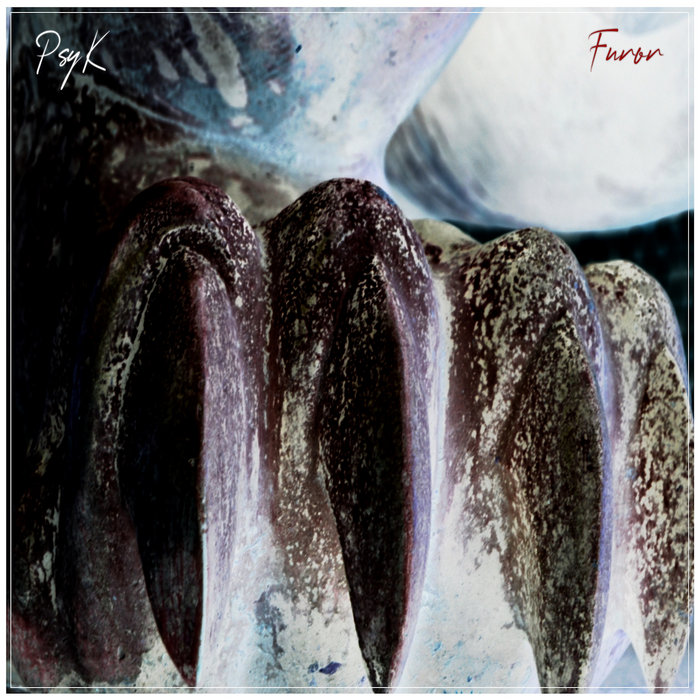 Furor [EP] (2019) | PsyK
