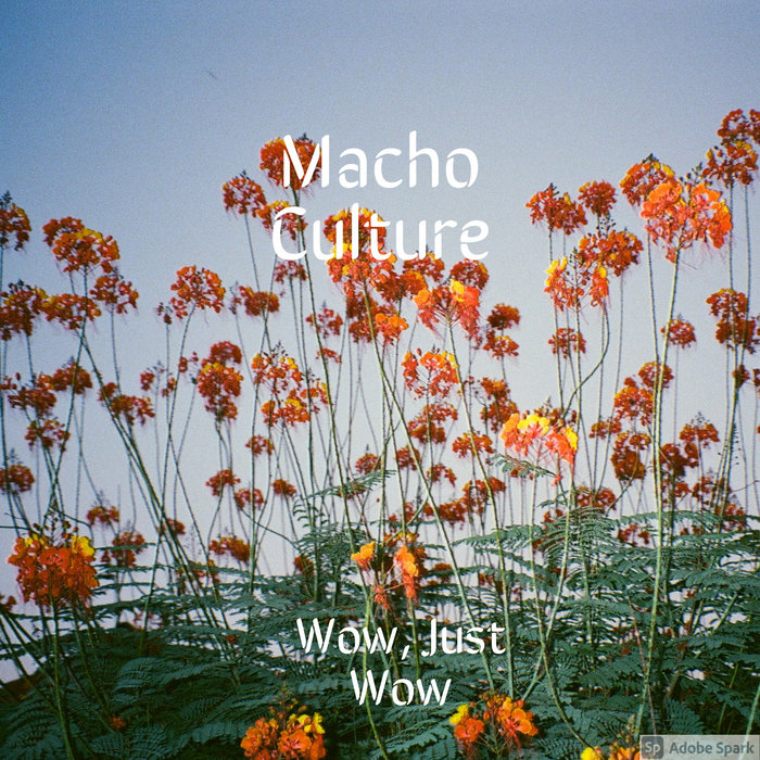 Wow, Just Wow | MACHO CULTURE