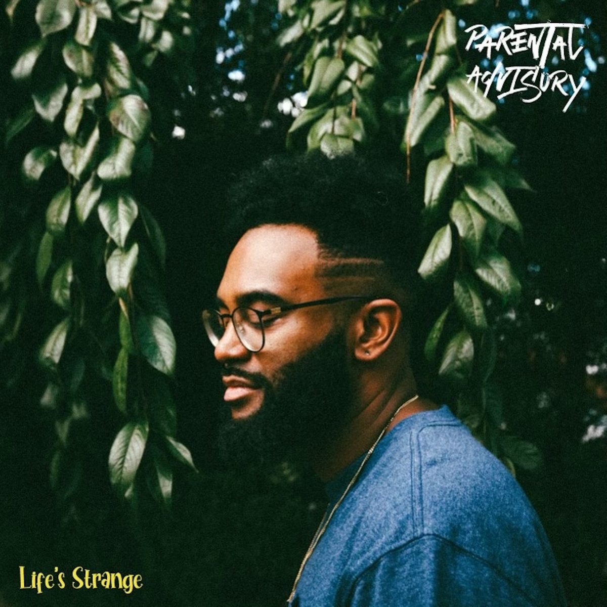 Life's Strange | Drew Prince