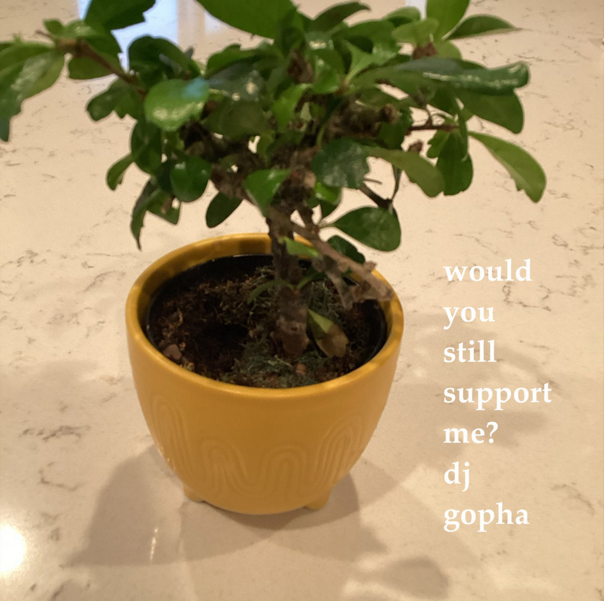 would you still support me? | DJ Gopha | Anti Hippie Association of the ...