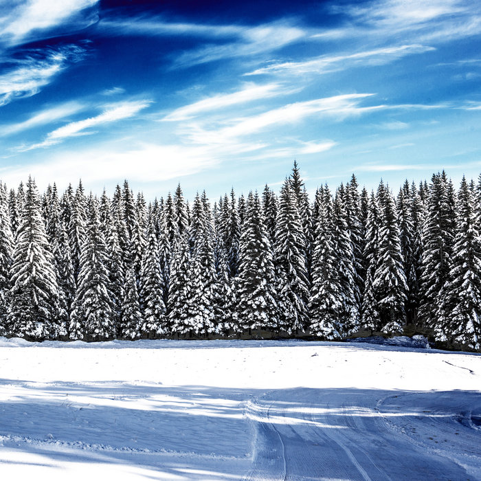 Halfway Down | Errant Static