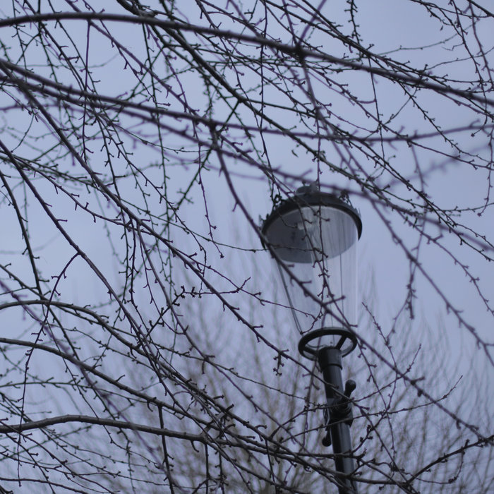 The Morrison Suite Vol. 2 | Joshua Morrison