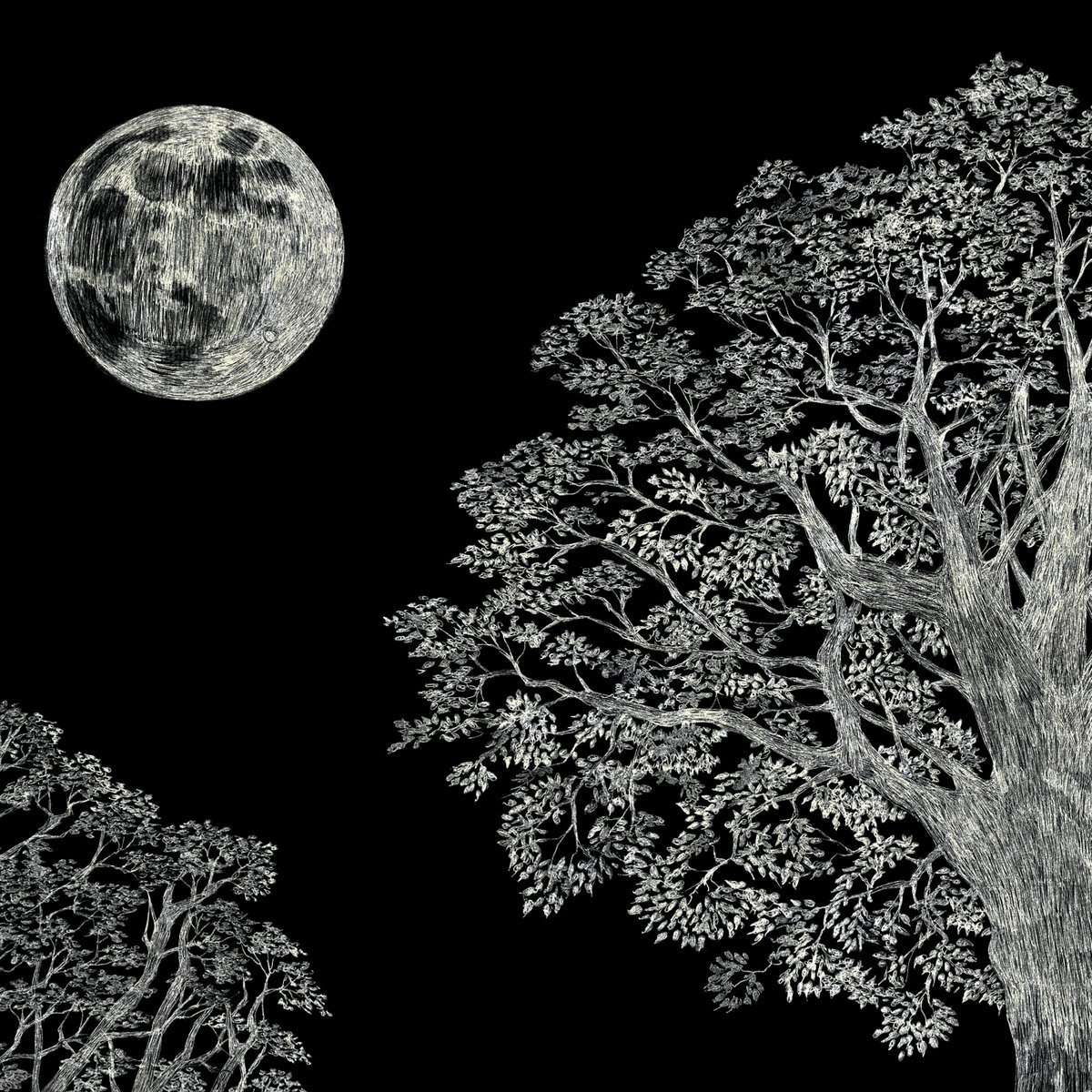 Archives | Kaoru Inoue | SeedsAndGround