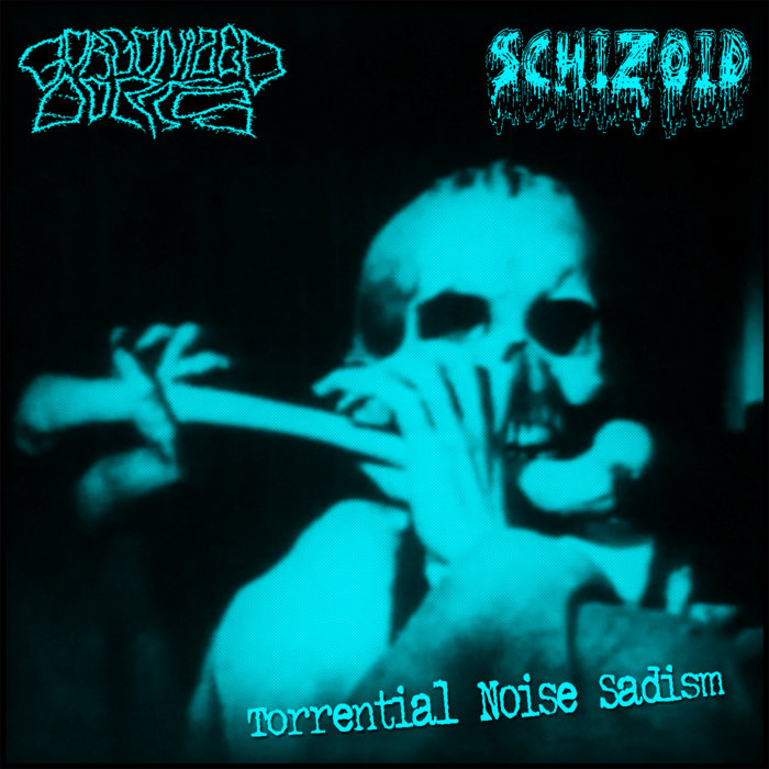 "Torrential Noise Sadism" | Gorgonized Dorks / Schizoid | Steven Seagal
