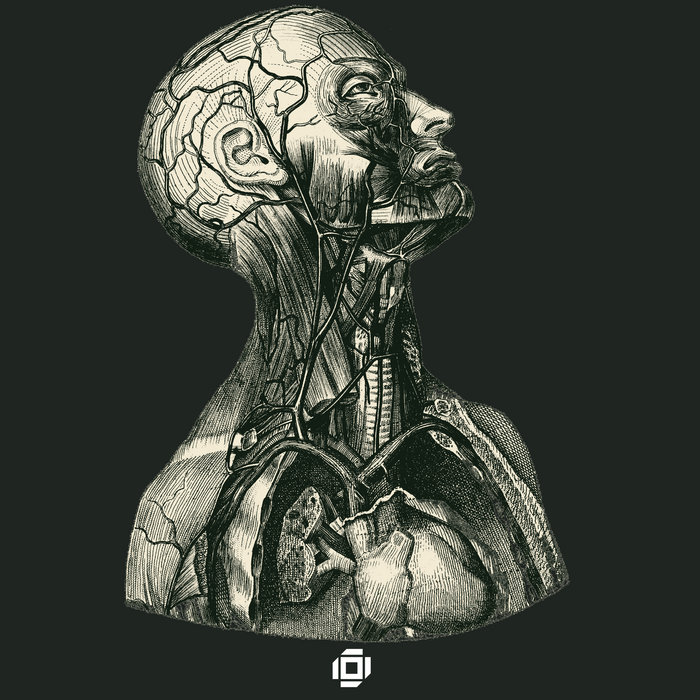 Achromatic Vision EP | Nic Araújo | Shape of Void