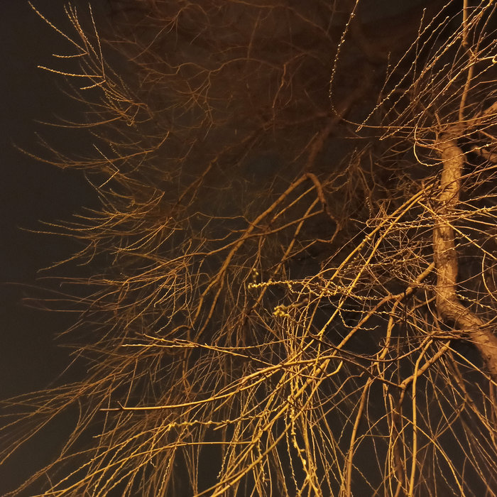 Theatre Session | Vorsoba / Porakh