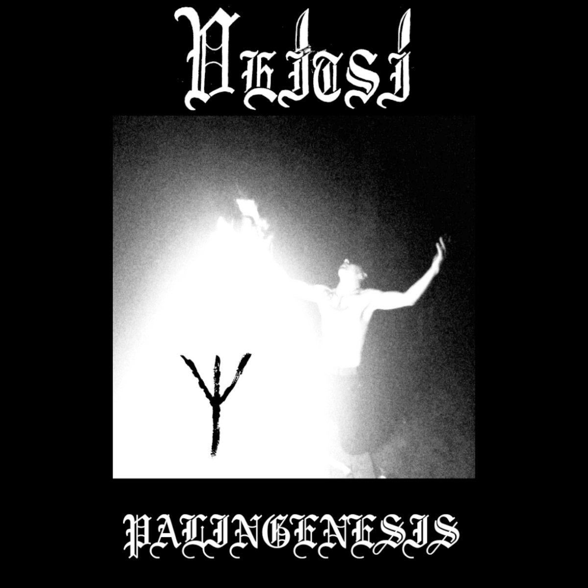 PALINGENESIS | VEITSI