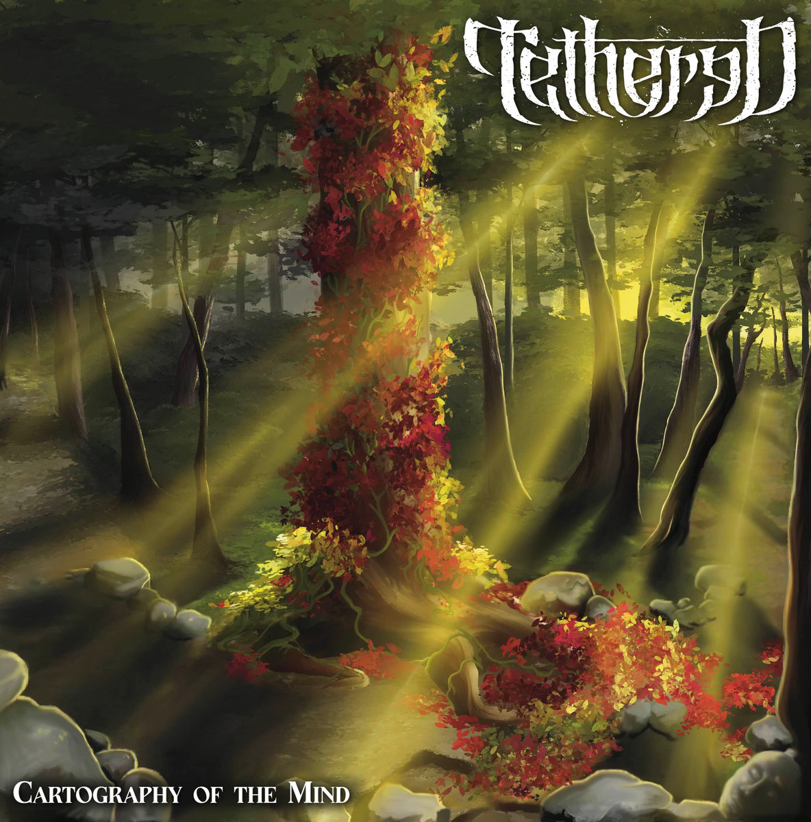 Cartography of the Mind | Tethered
