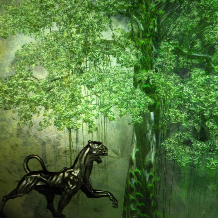 rainforest film | Sacred Human Beings | 𝕸𝖆𝖘𝖘𝖎𝖛𝖊 𝕾𝖈𝖗𝖔𝖑𝖑𝖘